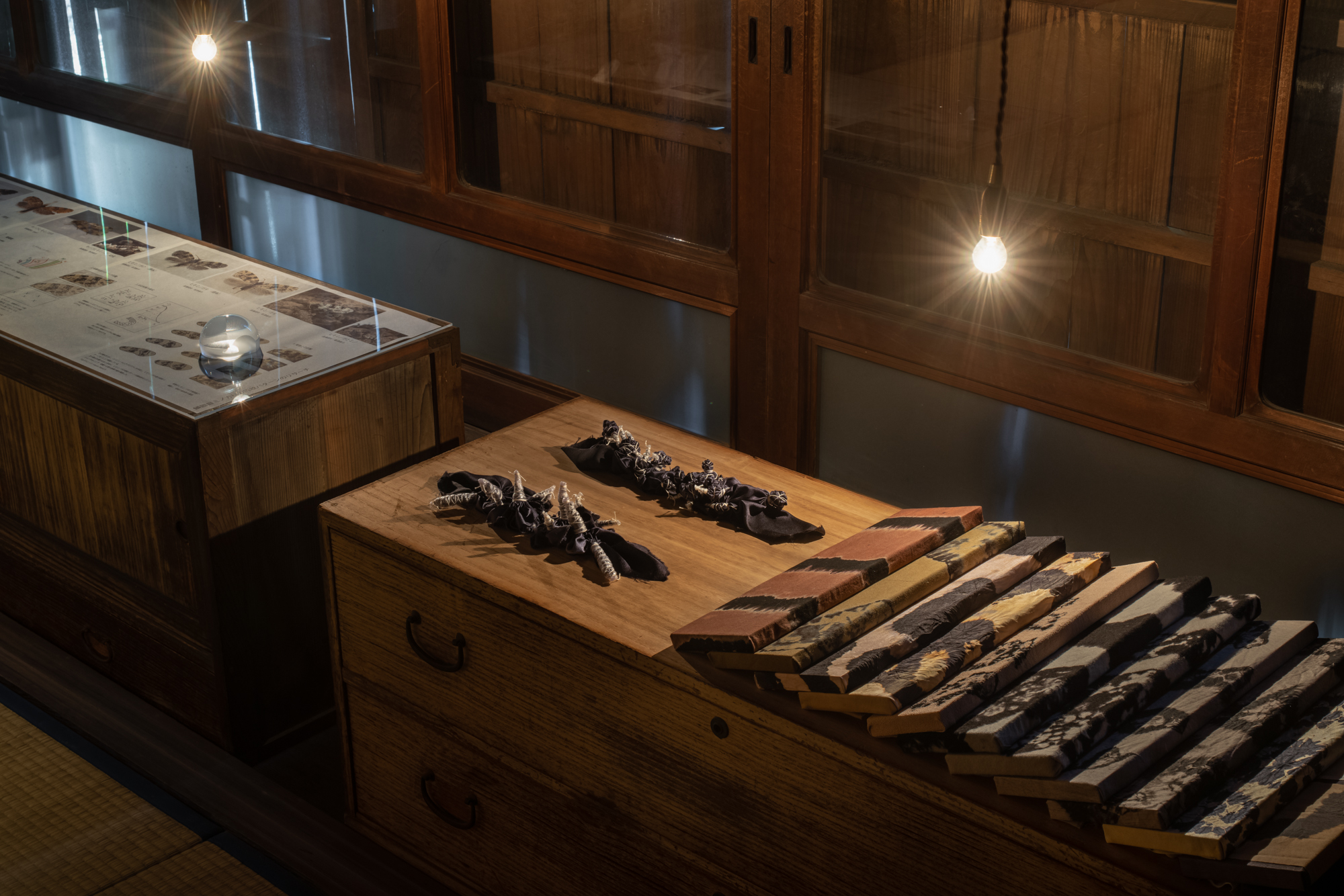 Installation view of “APERTO16 AKI INOMATA Acting Shells” | EXHIBITION ...